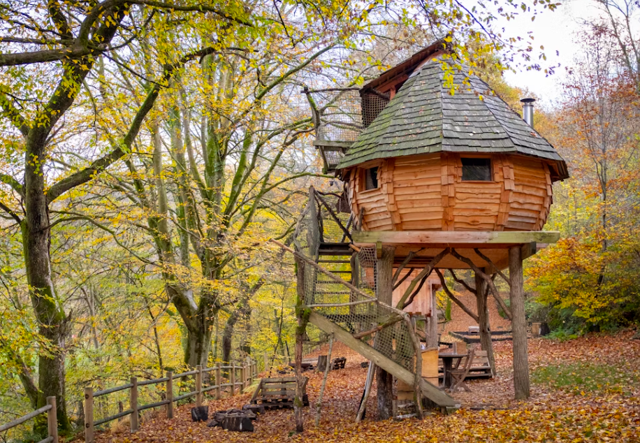 The Basics of Building a Tree House | Lake Homes Realty
