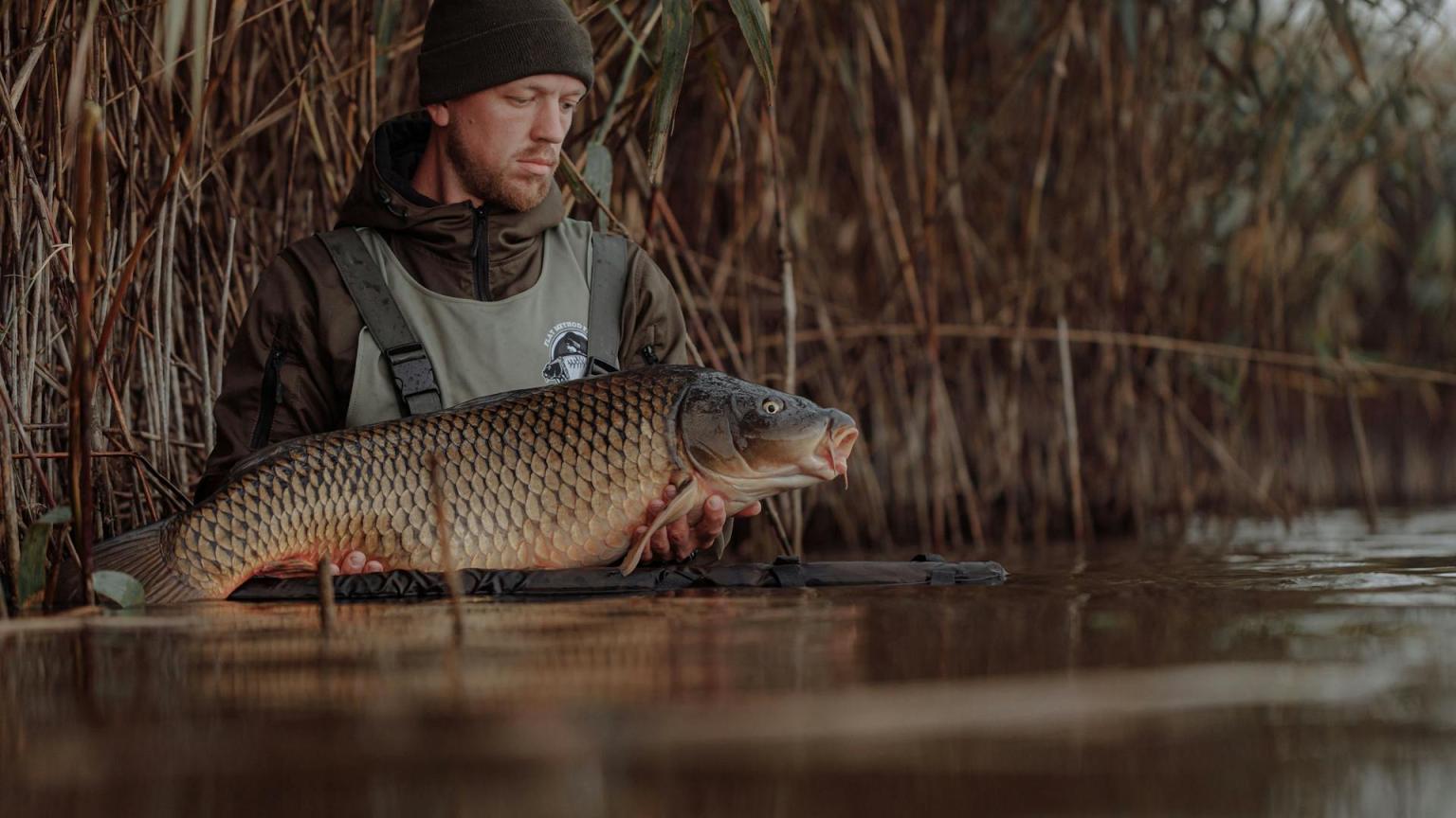 Know the Difference: Game Fish vs. Non-Game Fish