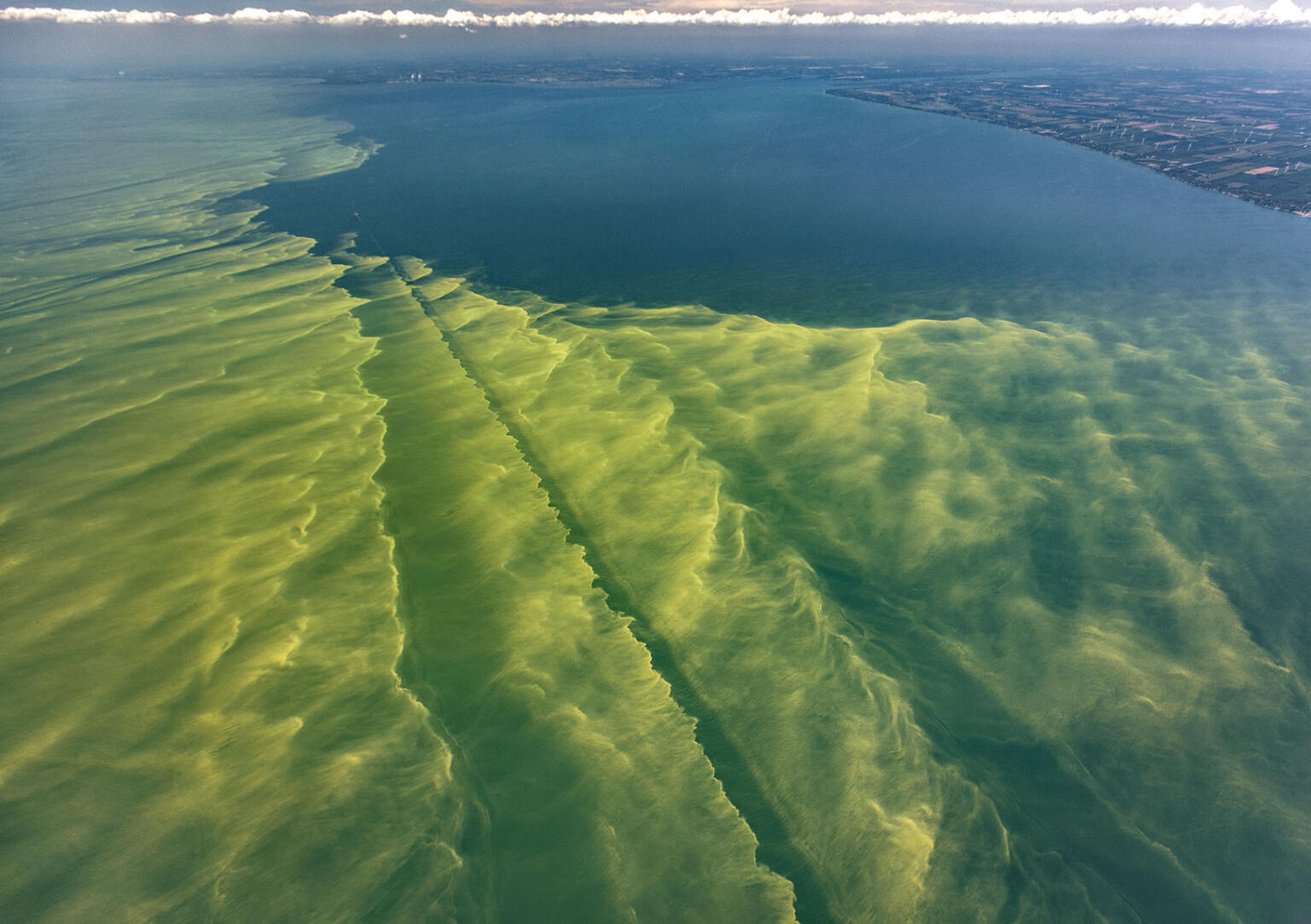 The Science Behind Clear and Murky Lakes