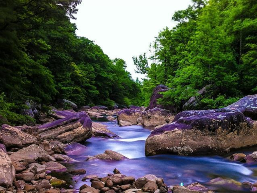 A Spotlight on Lake Chickamauga