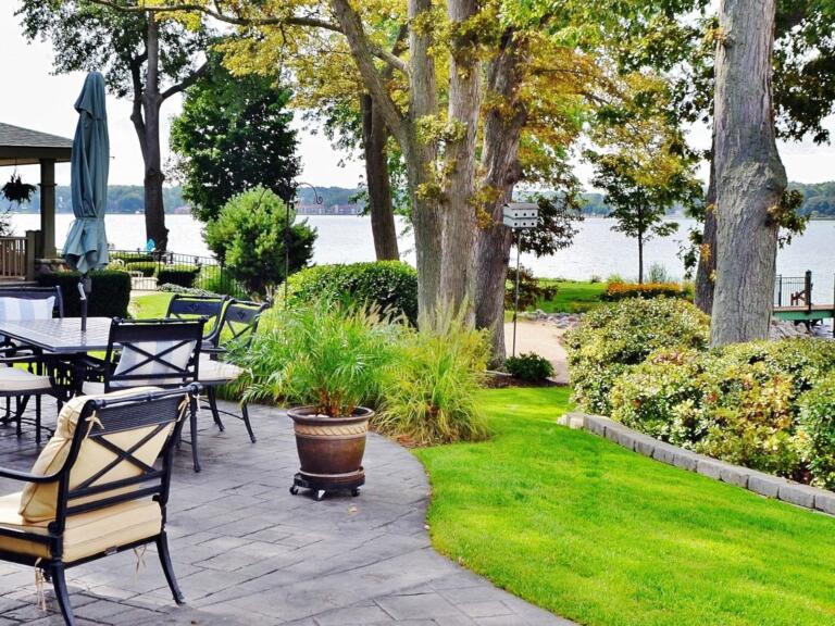 Best Trees to Plant at the Lake