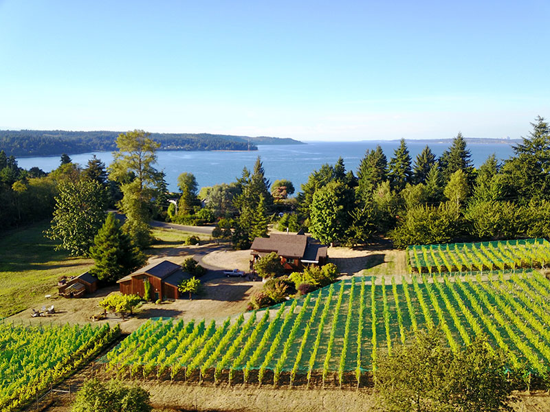 5 Interesting Facts About Puget Sound, WA