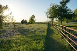 Rural Living: Pros and Cons